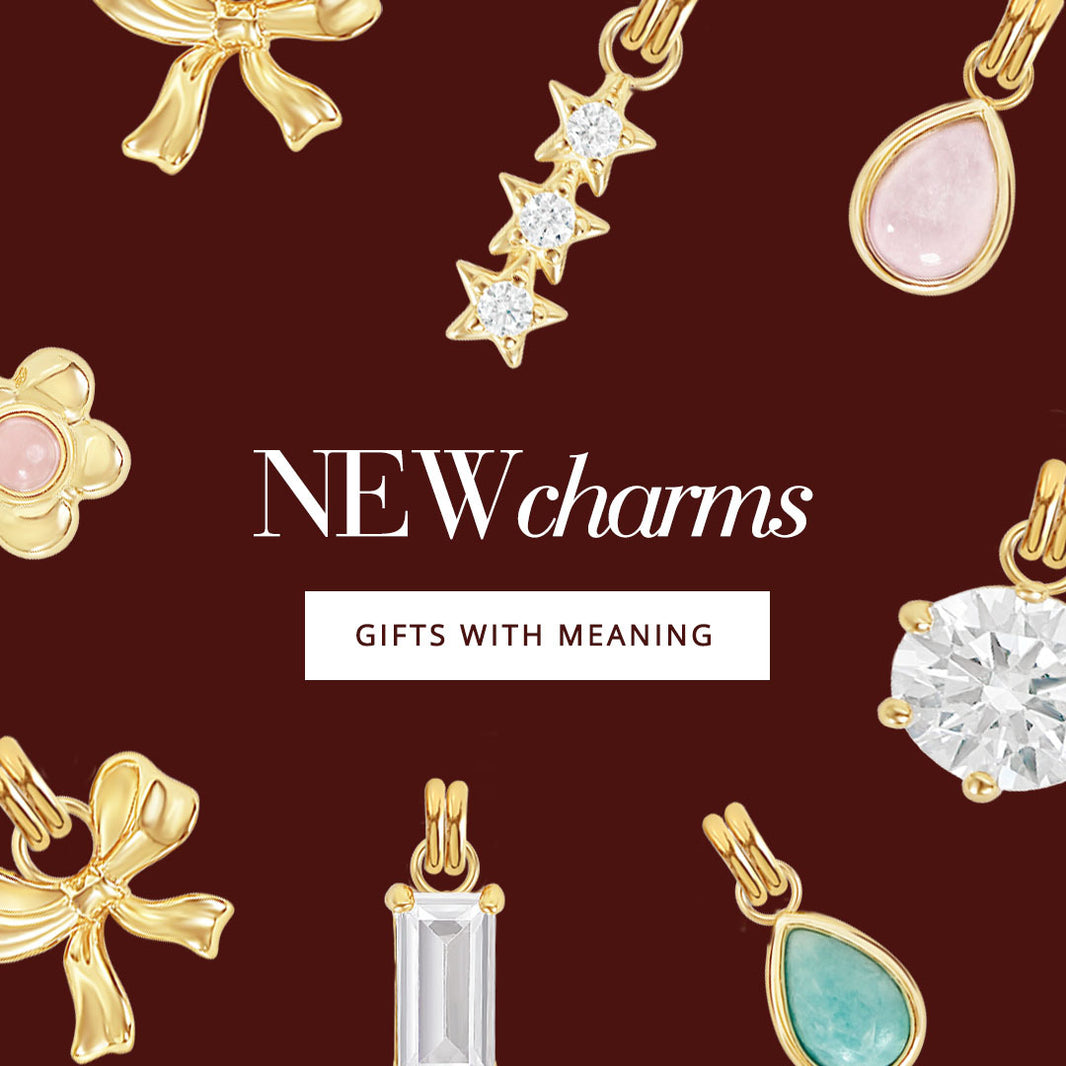Shop Charms Online in Australia | Francesca Jewellery